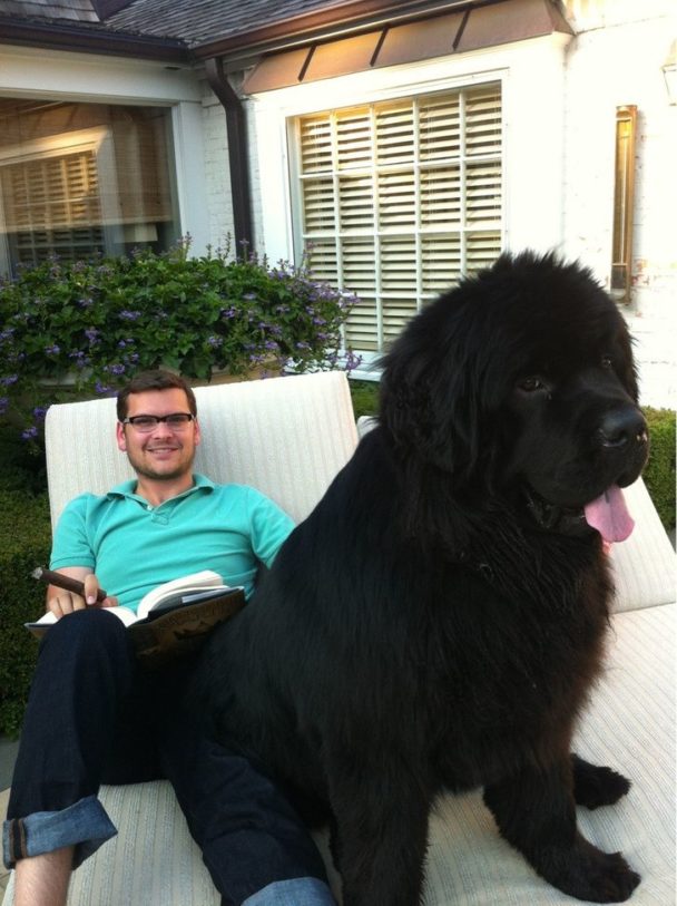 20 Huge Dogs Who Have No Idea How Big They Are