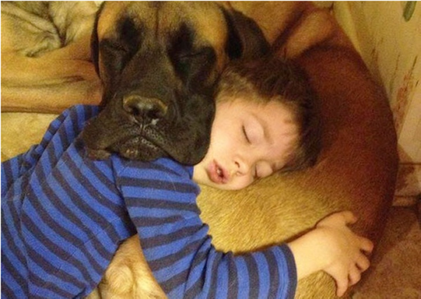 20+ Animals Who Imitate Humans So Well, They Should Have IDs