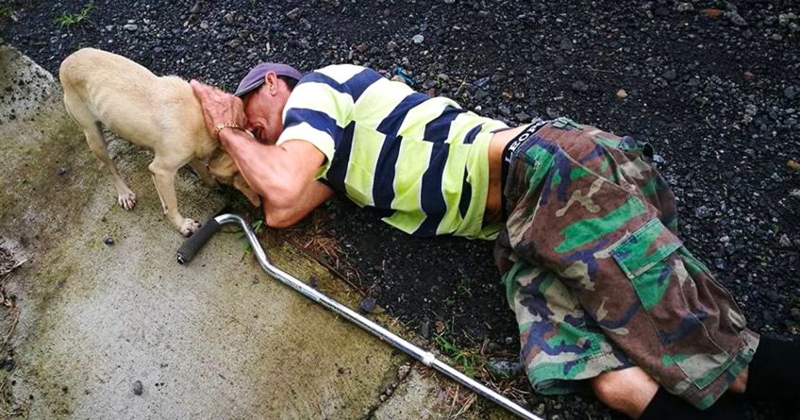 8 Pets Who Saved Their Owner's Lives