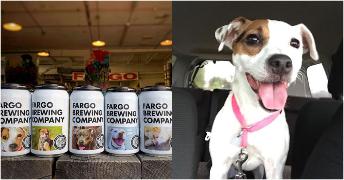 Beer Company Puts Dog Photos On Their Cans To Help Them Find A Forever Home