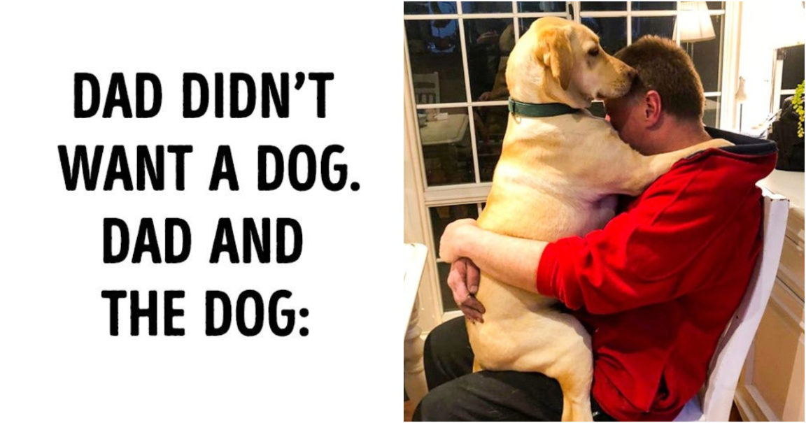 20 People Who Didn't Want Any Pets In The House But Now Can't Stay ...