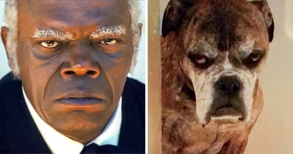 Artist Matches People With Their Dog Doppelganger And It's Hilarious