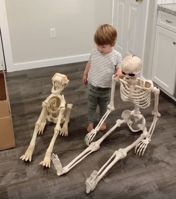 Toddler Befriends A Creepy Skeleton His Parents Got As A Halloween ...
