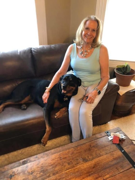 30 Dog Who Became A Different Breed Altogether After Growing Up