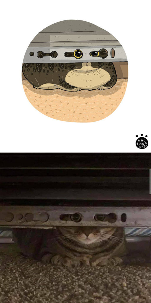 30 Of The Funniest Internet-Famous Cat Pics Get Illustrated By Tactooncat