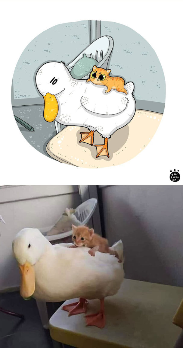 30 Of The Funniest Internet-Famous Cat Pics Get Illustrated By Tactooncat