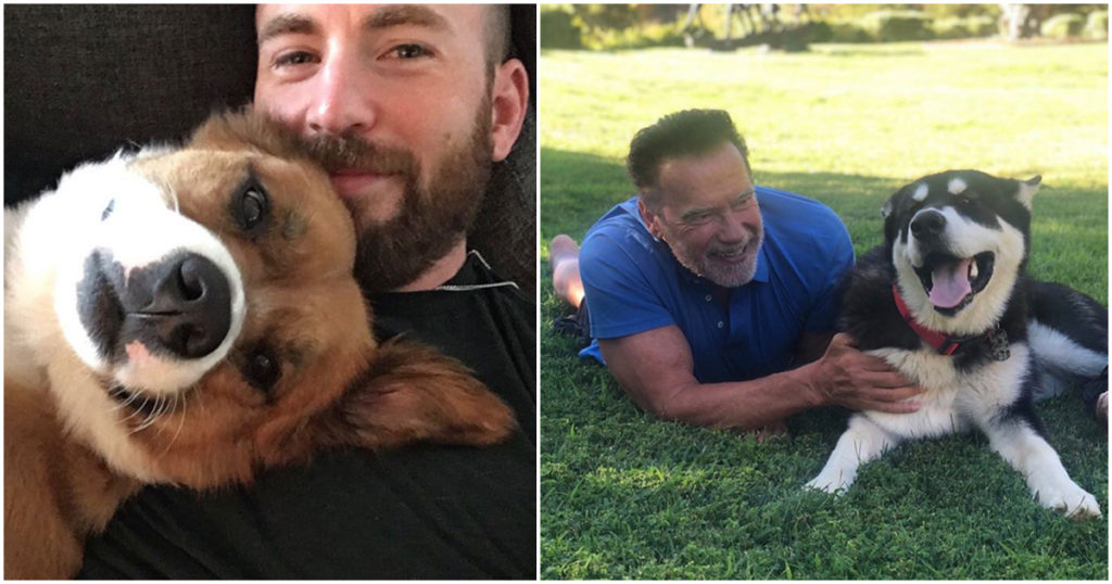25 Adorable Pets Who Got Adopted By These Famous People