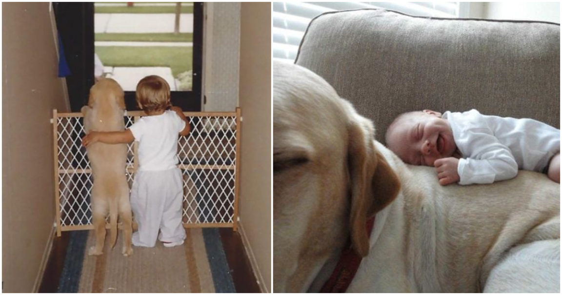 20 Adorable Pictures Of Dogs Showing Love To Kids