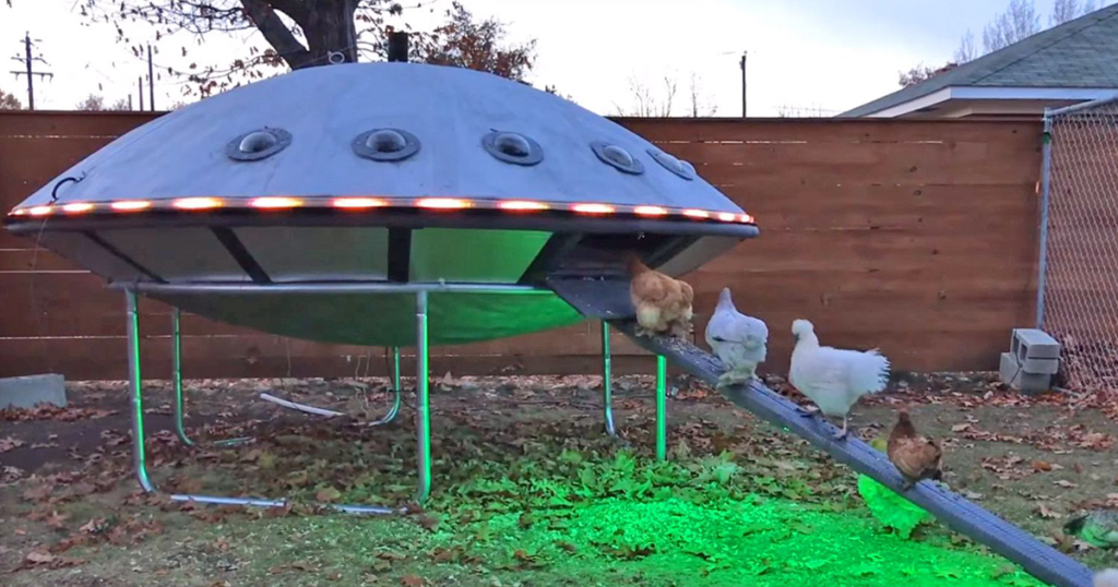 30 Times People Got Creative With Their Chicken Coops And Built These Gems