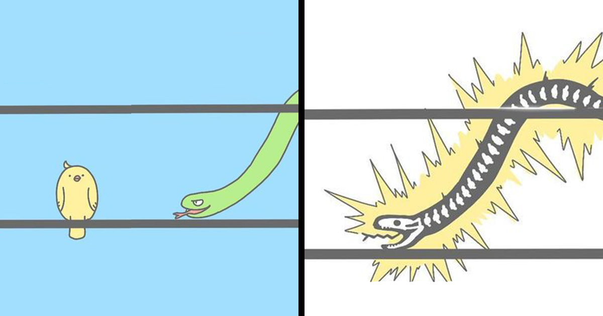 This Taiwanese Artist Creates Hilarious Animal Comics (30 Pics)