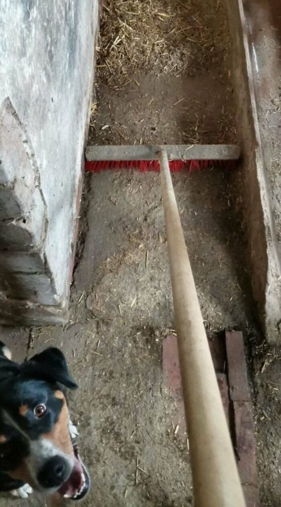 30 Satisfying Examples Of Things Fitting Together Perfectly