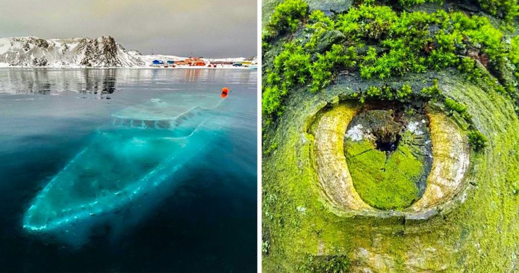 20+ Captivating Photos That Grip You the Moment You See Them