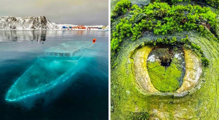 20+ Captivating Photos That Grip You the Moment You See Them | Hiptoro