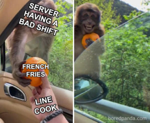 20 Hilariously Accurate Chef Memes That Perfectly Describe What It’s ...