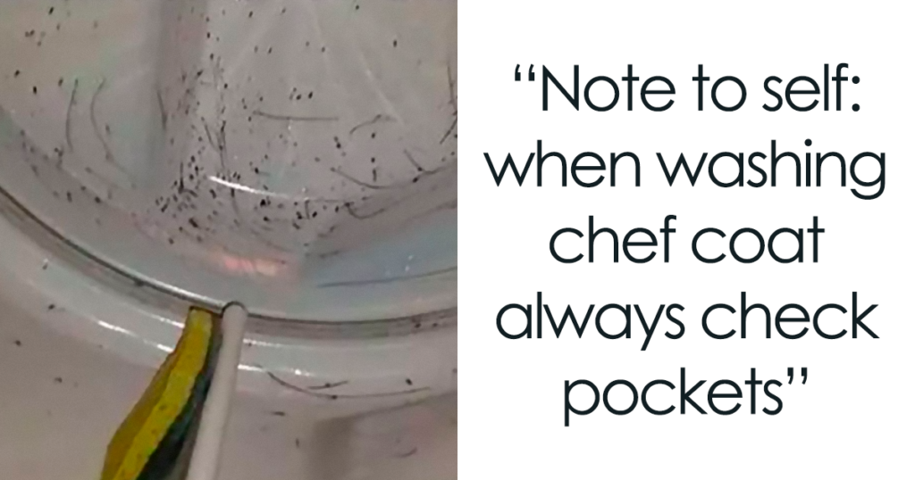 20 Hilariously Accurate Chef Memes That Perfectly Describe What It’s ...