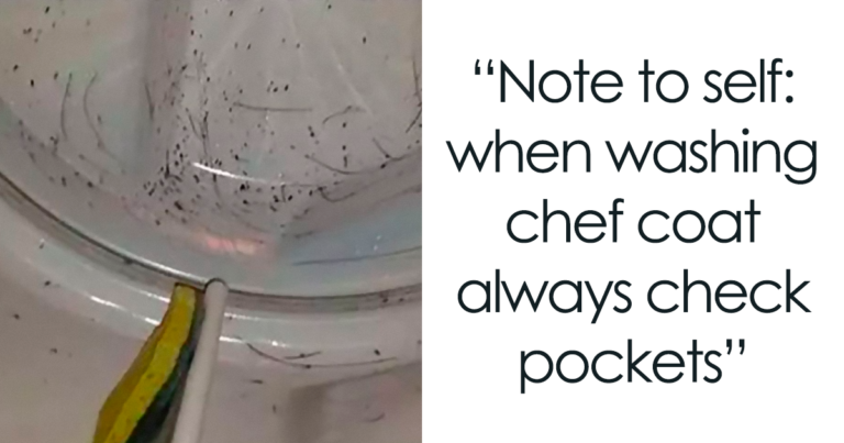 20 Hilariously Accurate Chef Memes That Perfectly Describe What It’s ...