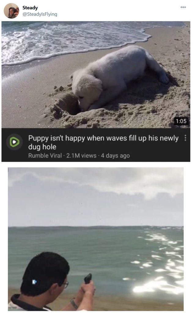 19 Dog Tweets That Were So Good They Made Us Chuckle