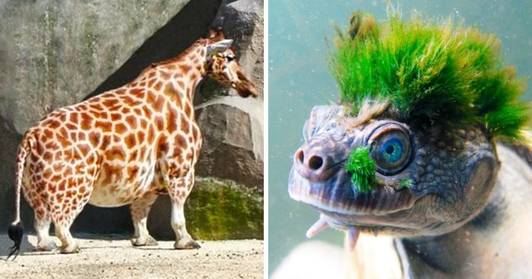 23 Photos That Seem to Have Nothing Special at First Glance. Or, Wait