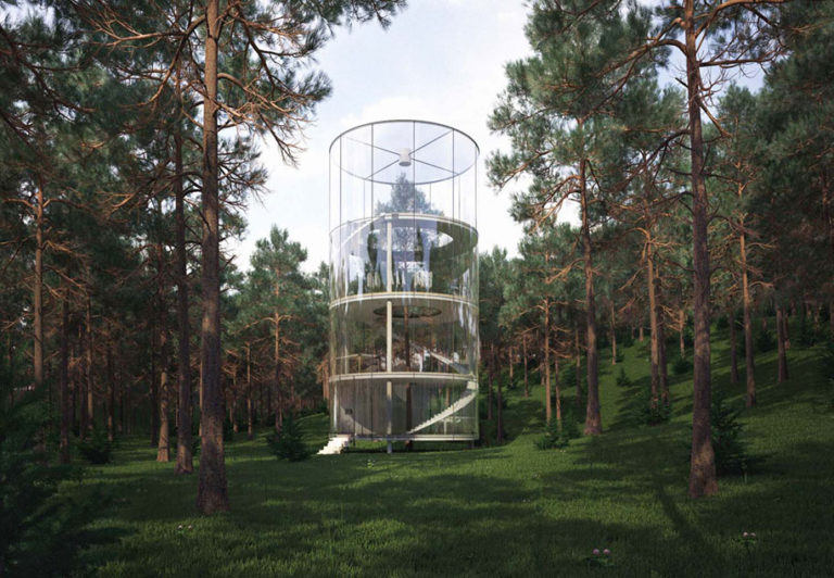 12 Architects Who Build Houses Around Trees Instead Of Cutting Them