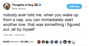 16 Accurate Tweets From ‘Thoughts of Dog’ That’ll Tell You What Your ...