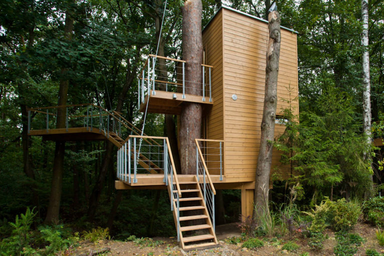 12 Architects Who Build Houses Around Trees Instead Of Cutting Them