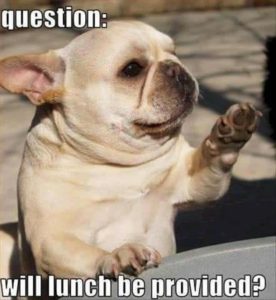 25 Hilarious Doggo Memes For You & Your Dog To Laugh At Together