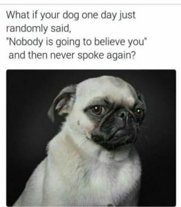 Hilariously Relatable Doggo Memes That Hits Too Close To Home