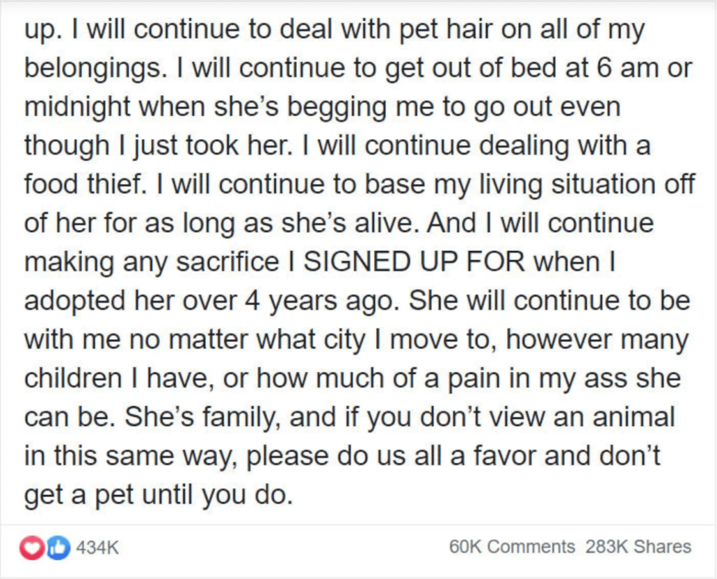 Man Shares The Challenges That Dog Owners Face & How Raising Dog Isn’t Easy
