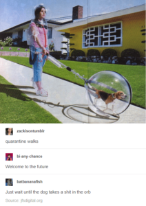 Hilariously Relatable Doggo Memes That Hits Too Close To Home