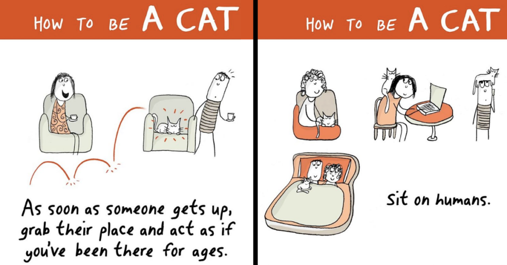 Artist Illustrates Cat Life With “How To Be A Cat” Comics (35 Pics)