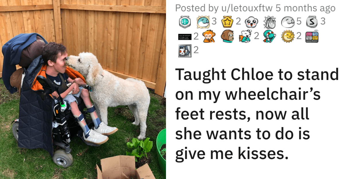 16 Of The Absolute Best Dog Posts To Help You Get Through Life