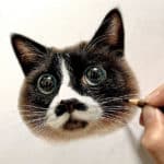 This Japanese Artist Creates Photorealistic Drawings Of Cats, And It’s ...