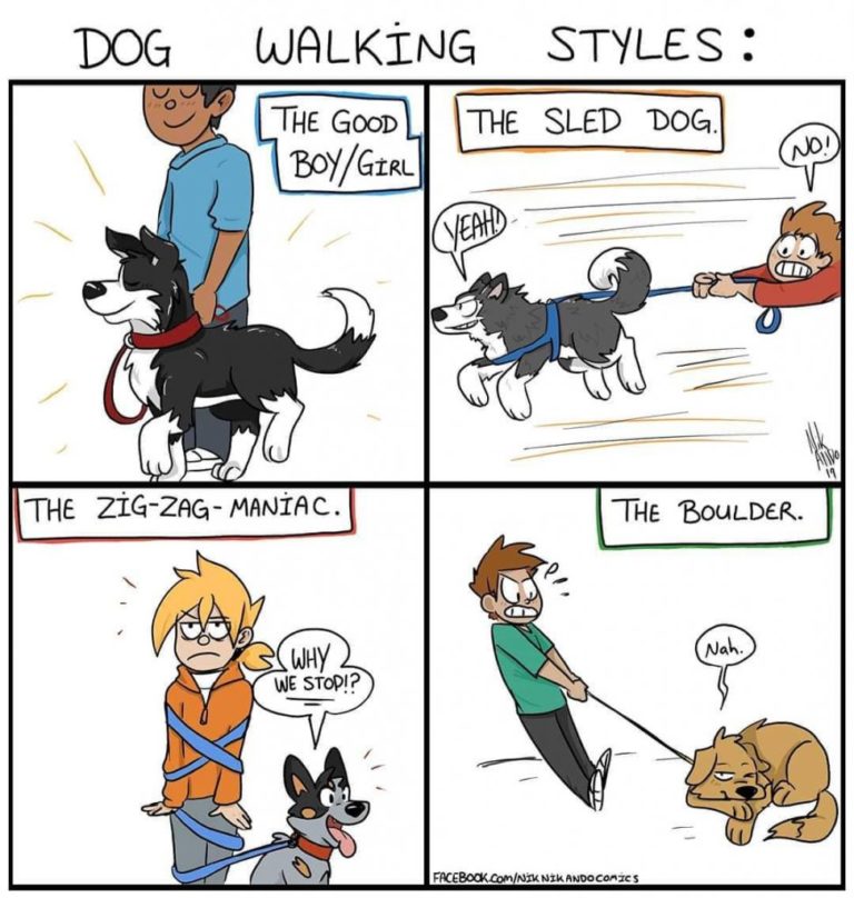 Artist Draws Comics That Hilariously Shows Her Daily Adventures With ...