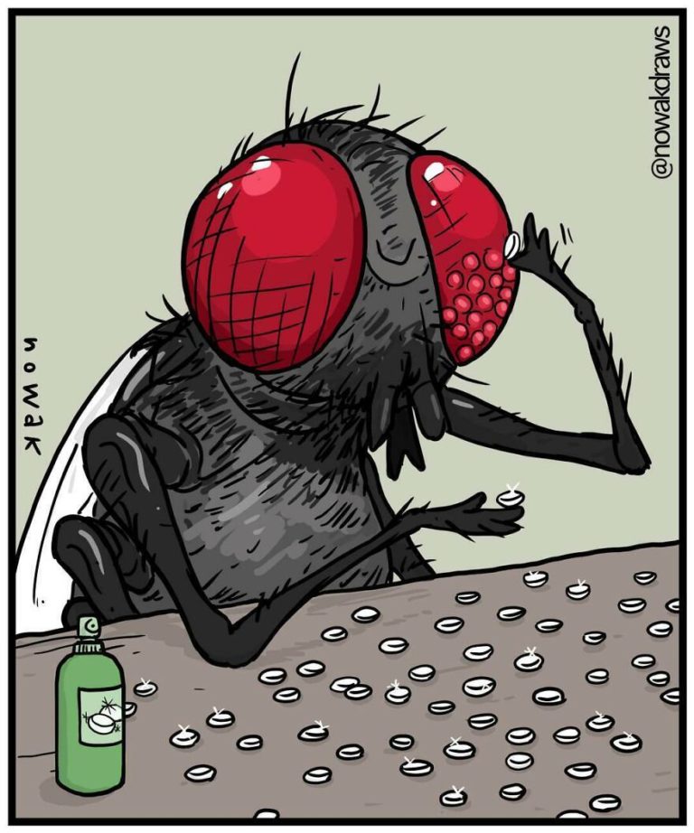 30 Funny Single-Panel Comics By Joseph Nowak