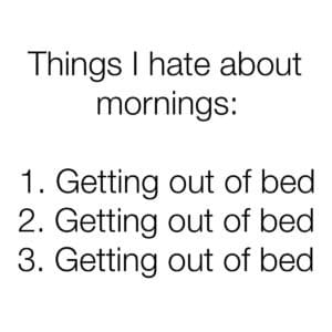 25 Memes To Help You Start Your Day Off With A Giggle.