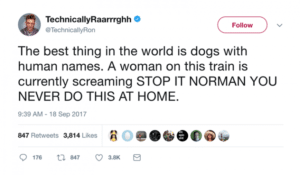 26 Wholesome Doggo Tweets Because It’s Been A Ruff Year
