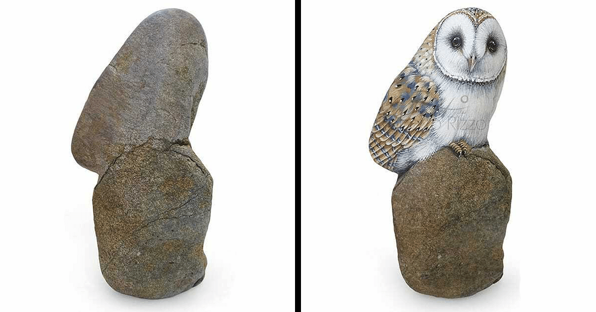Artist Turns Rocks Into Incredible Animal Paintings (30 Pics)
