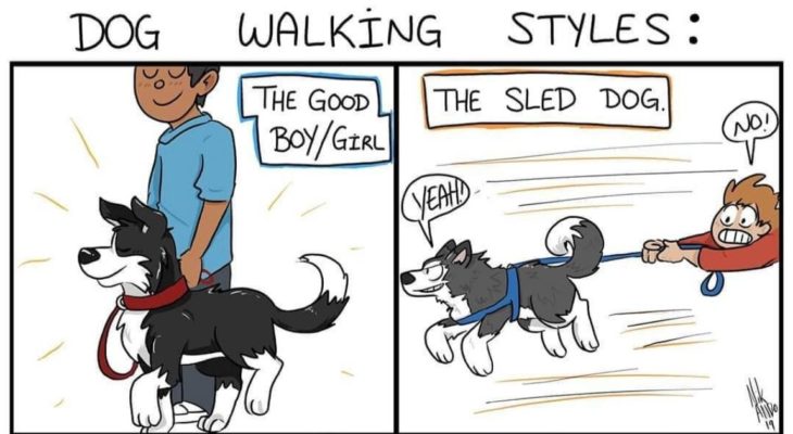 Artist Draws Comics That Hilariously Shows Her Daily Adventures With ...