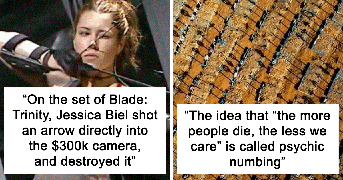 People Share 30 Of The Most Interesting Facts They’ve Learned Today ...