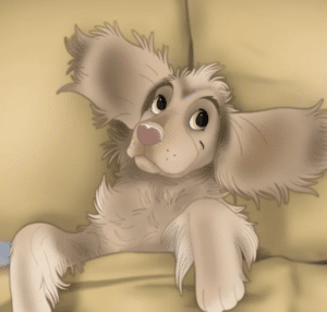 Everyone Is In Love With This Cocker Spaniel Who Looks Just Like A ...