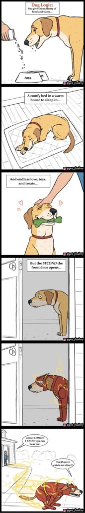 10+ Hilarious Comics About Pets By Pet Foolery That’ll Make Your Day