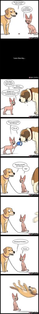 10+ Hilarious Comics About Pets By Pet Foolery That’ll Make Your Day