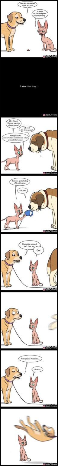 10+ Hilarious Comics About Pets By Pet Foolery That’ll Make Your Day