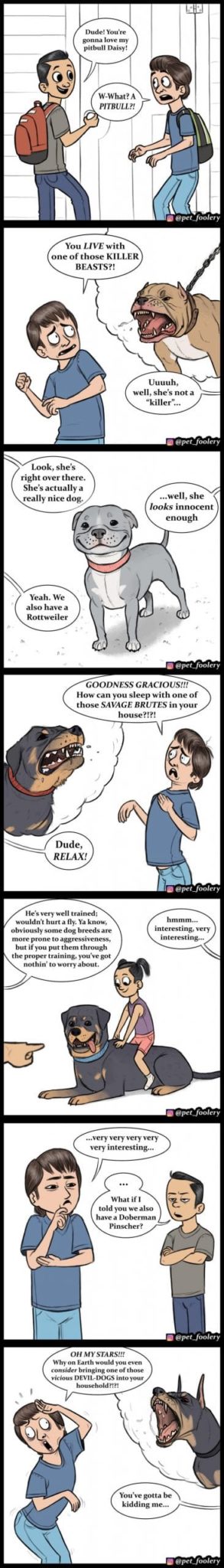 10+ Hilarious Comics About Pets By Pet Foolery That’ll Make Your Day