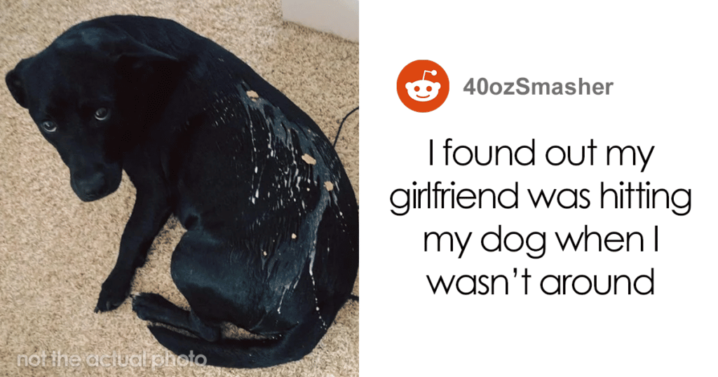 People Who Had To Choose Their Pet Over Their Partner Reveal How It All ...