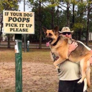 25 Memes That Will Only Be Funny If You Have A Dog.