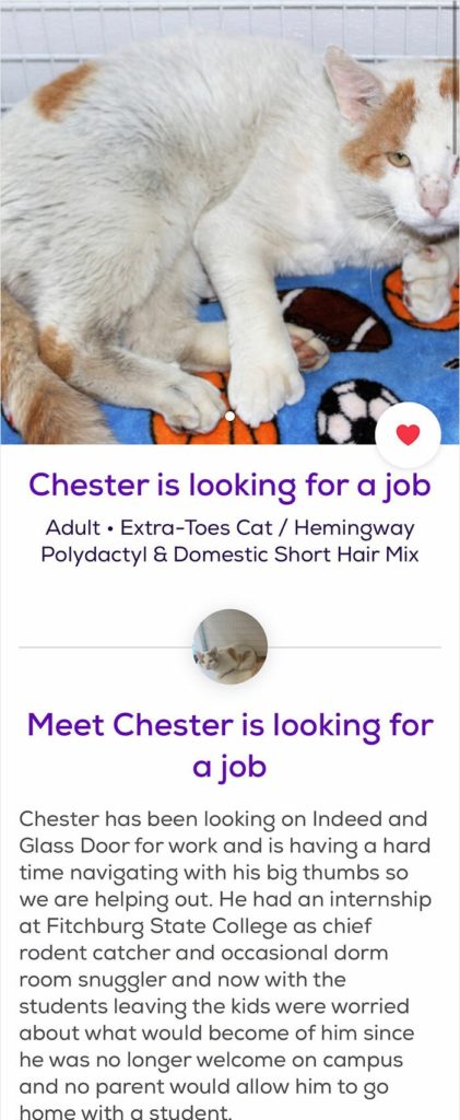 35 Hilariously-Creative Pet Names Shared By The “Petfinder Names ...