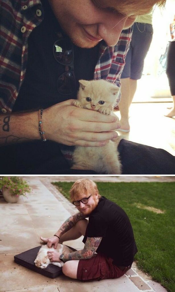 30 Celebs Who Are Well-Known For Being Cat People