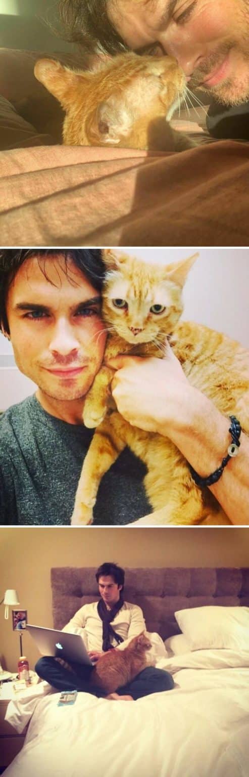 30 Celebs Who Are Well-Known For Being Cat People
