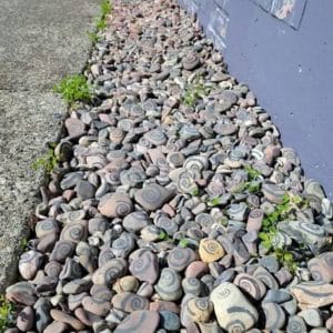 Confusing Photos That Take A Minute To Sort Out (16+ Pics)